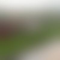 Zivim u Francuskoj trazim gospodju redi ljepog zivota a s...